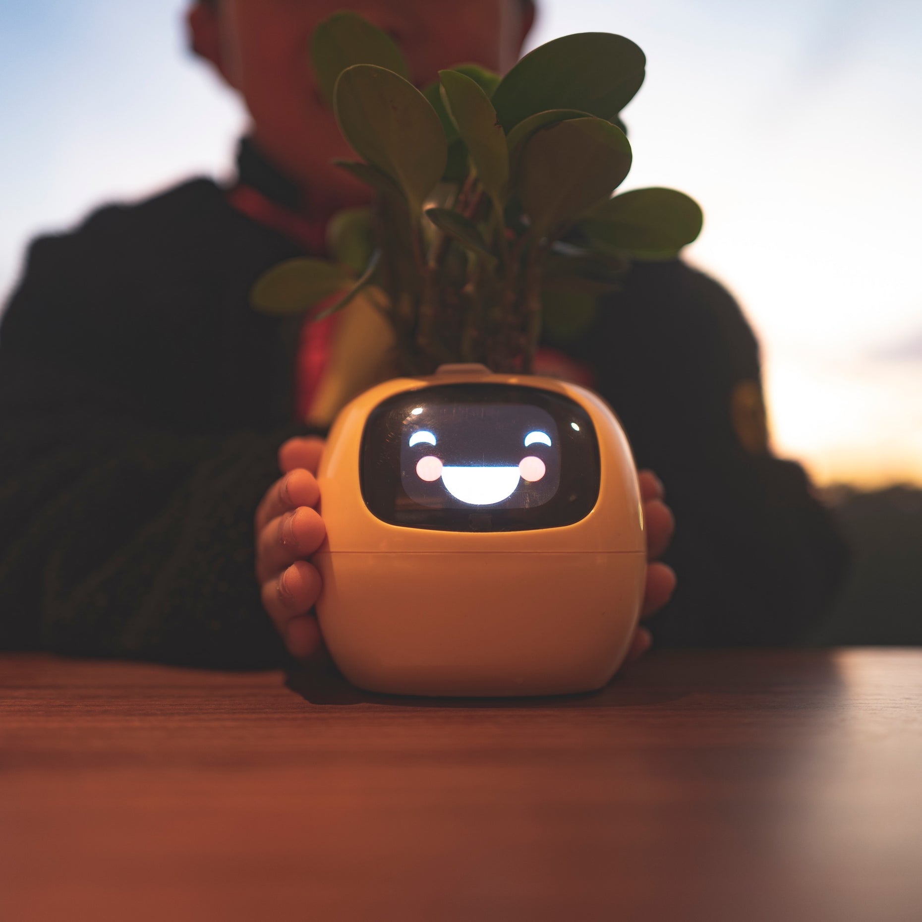 Ivy SmartPlant - Robot Chăm Sóc Cây Thông Minh AI Đa Năng – Mac Setups